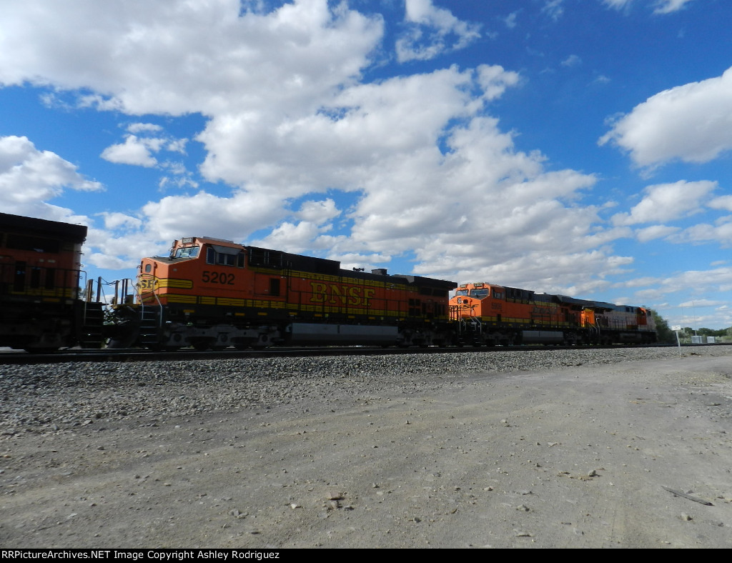 BNSF 5202